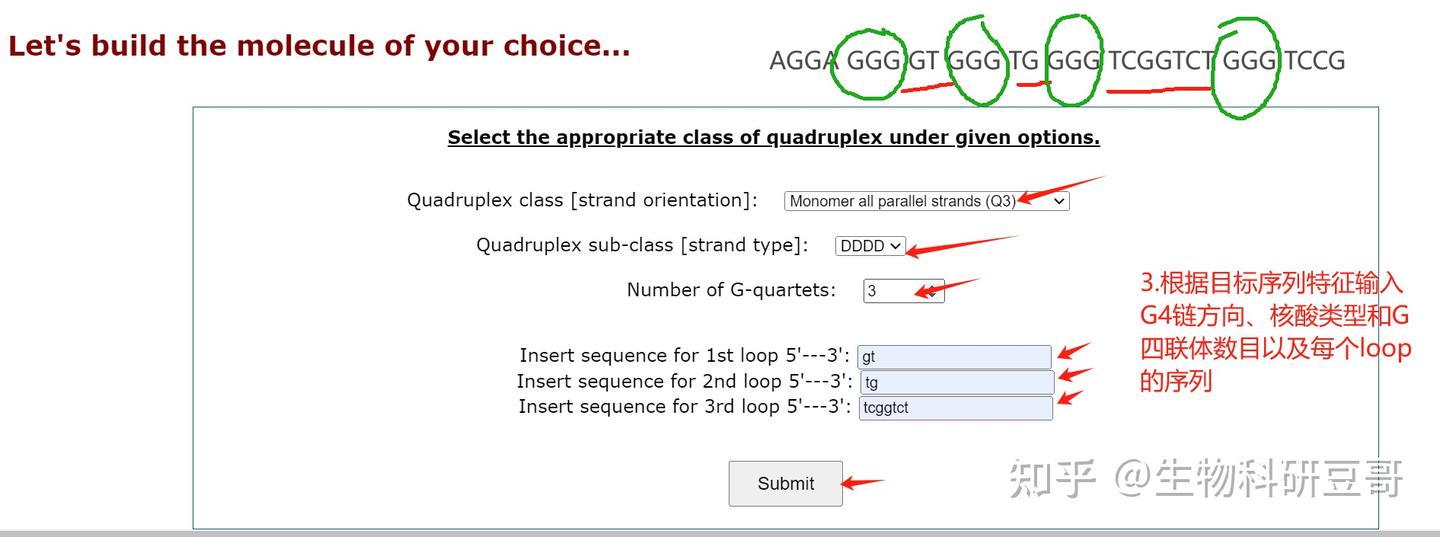 根据DNA序列预测G-四链体3D结构？Predict the 3D structure of G-quadruplex (G4 ...