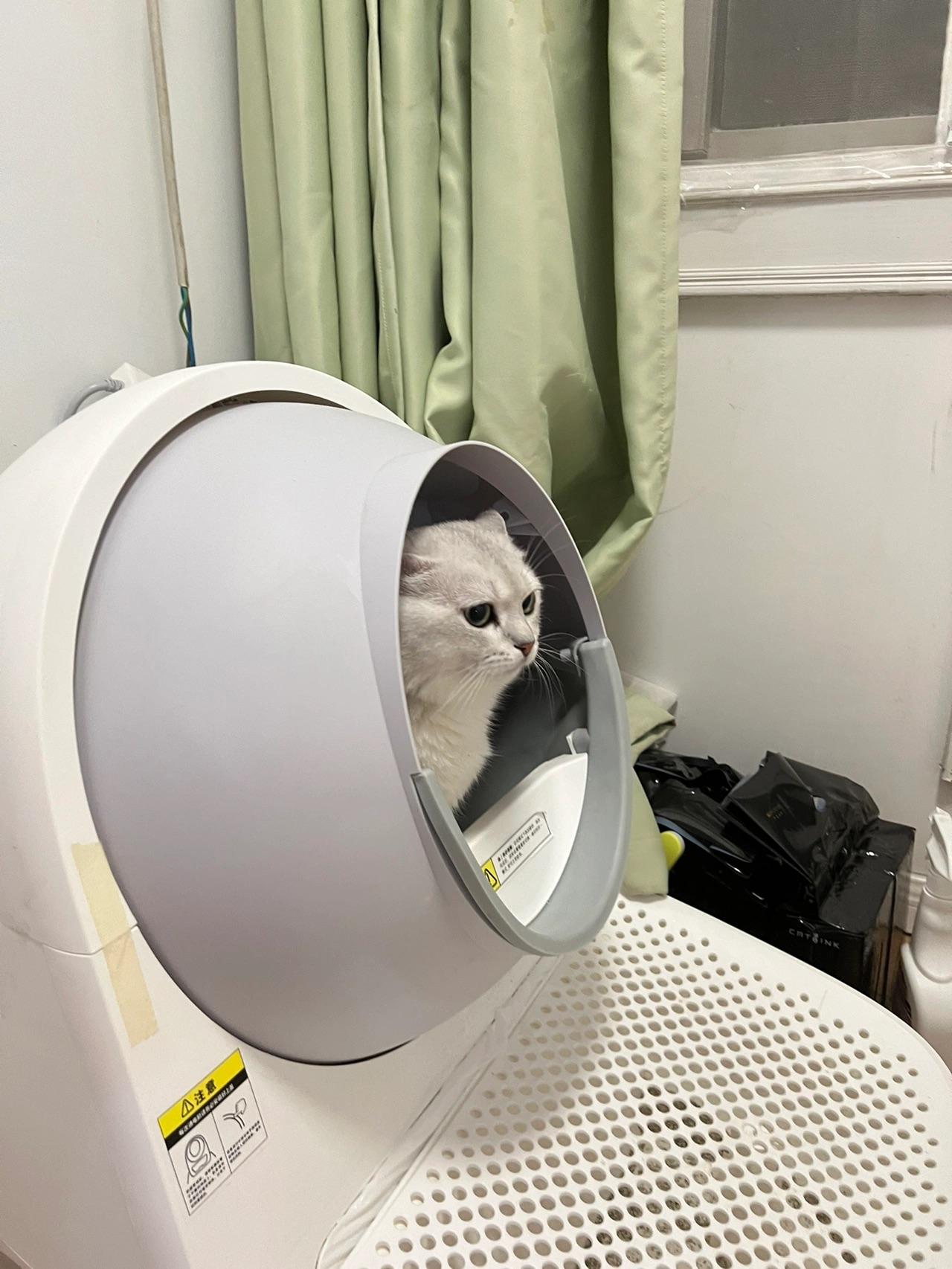 Catlink电动猫砂盆好用吗?使用一年真实体验! 知乎