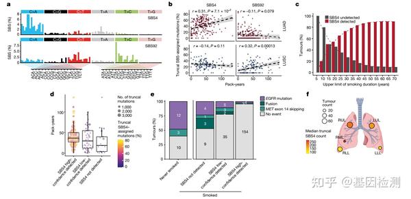 肺癌的进化及TRACERx亚克隆选择的影响 - 知乎
