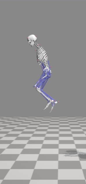 opensim深入教学 - 知乎