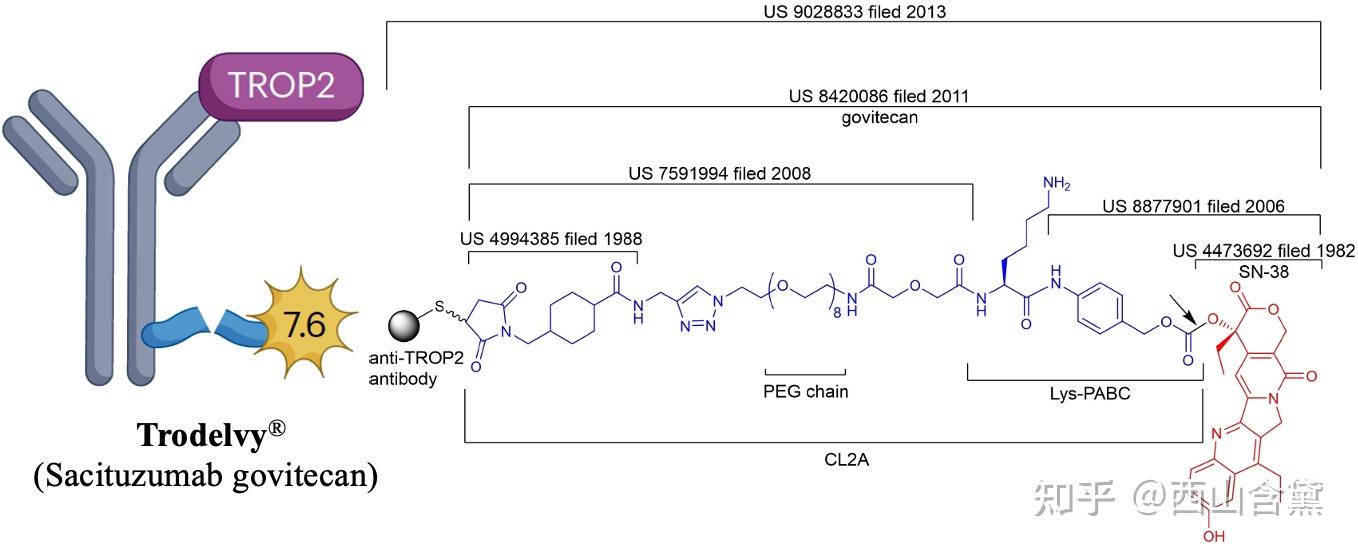 已批准ADC的专利布局 - 知乎