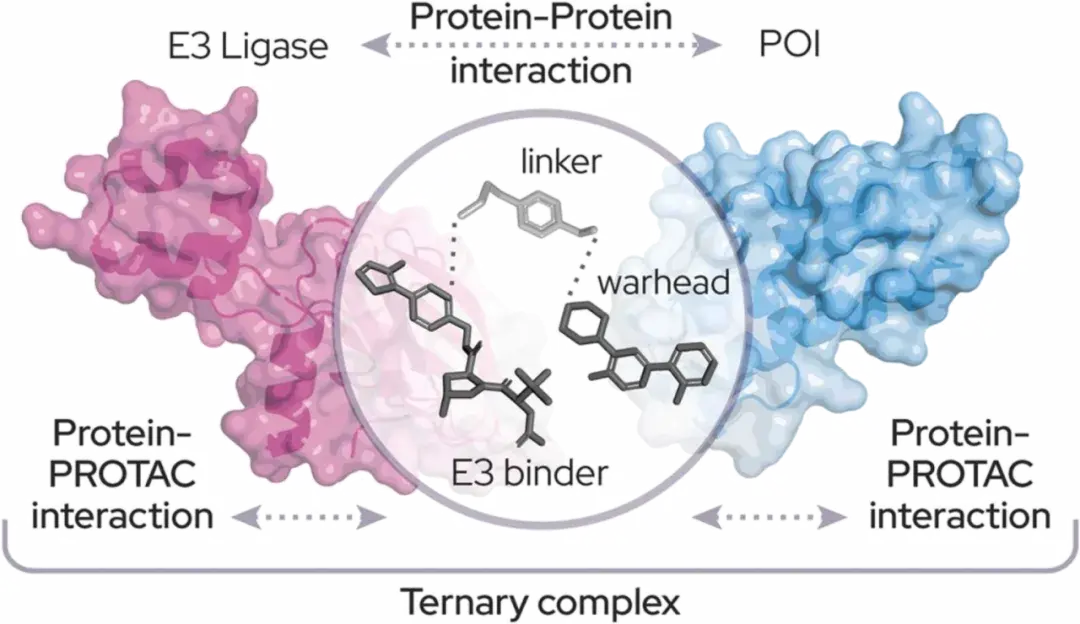 干货收藏！PROTAC技术详解 - 知乎