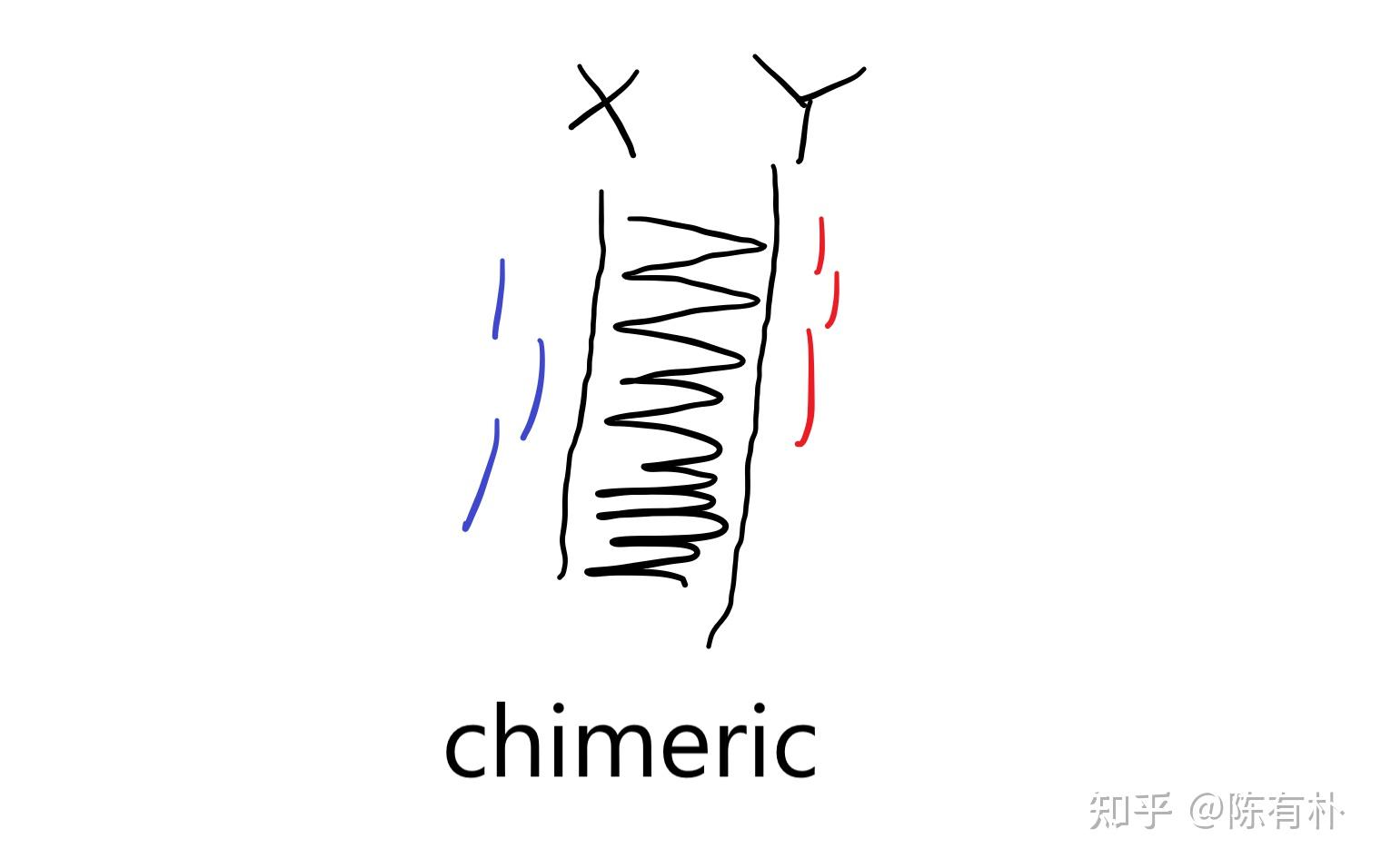 方法解读 | 性染色体Phasing - 知乎