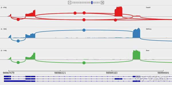 生物信息学100个基础问题 —— 第30题 IGVTools使用的一些小技巧 - 知乎