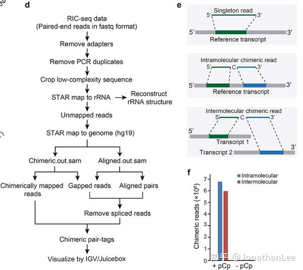 全基因组RNA-RNA interactions捕获技术解读（初） - 知乎