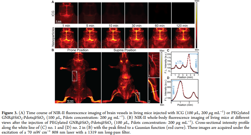 纳米探针 | 表面等离子体增强 NIR-II 荧光：用于小鼠穿颅脑成像的多层纳米探针 - 知乎