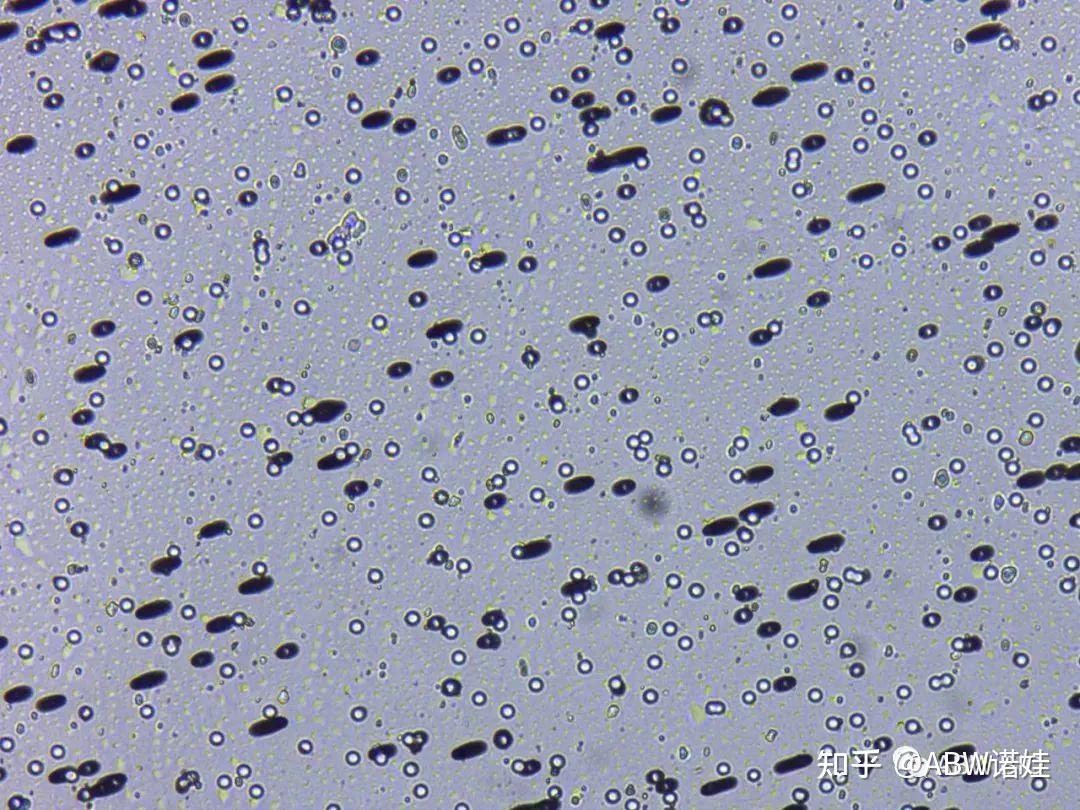 Transwell侵袭实验——熟练篇 - 知乎