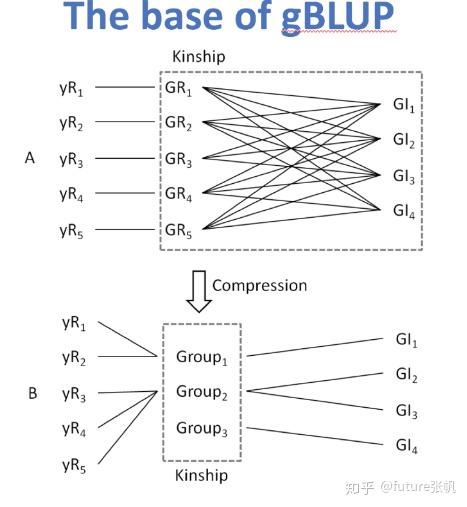 利用GAPIT进行gwas和gs分析（附带方法介绍） - 知乎