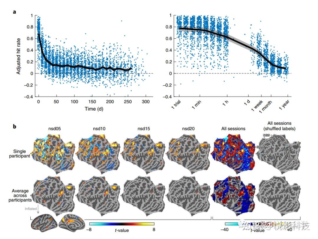 Nature neuroscience:一个庞大的连接认知神经科学和人工智能的7T fMRI数据集 - 知乎