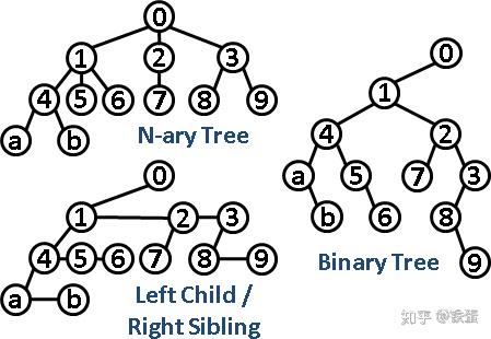 二叉树&树(Binary Tree & N-ary Tree) - 知乎