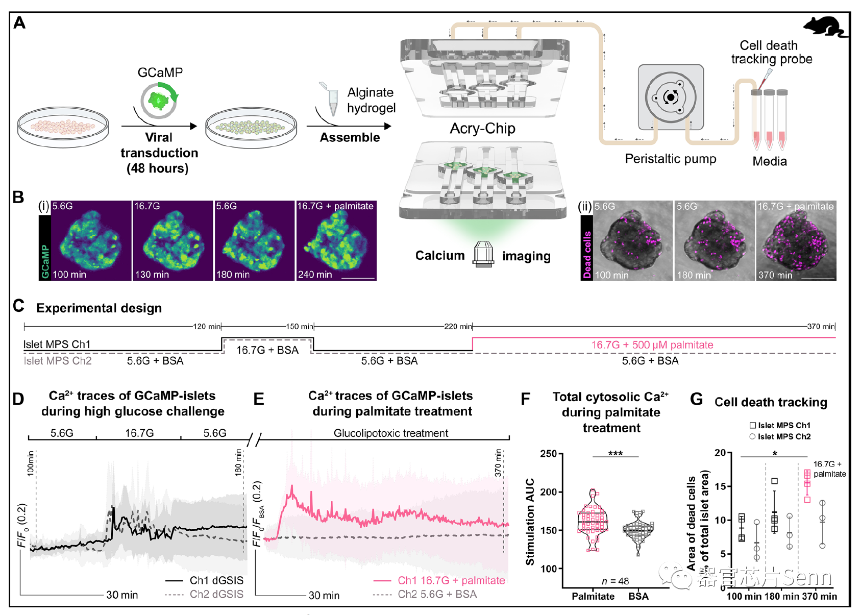 【器官芯片】胰岛类器官微生理系统 - 知乎