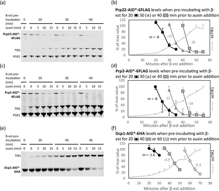 免疫学和感染！调整降解以实现特异和有效的蛋白质消耗 - 知乎