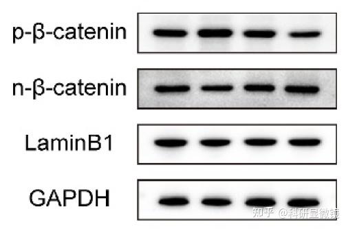 如何拯救你跑歪的WB图？如何给WB图添加外框线？都在这里了，快来看 - 知乎