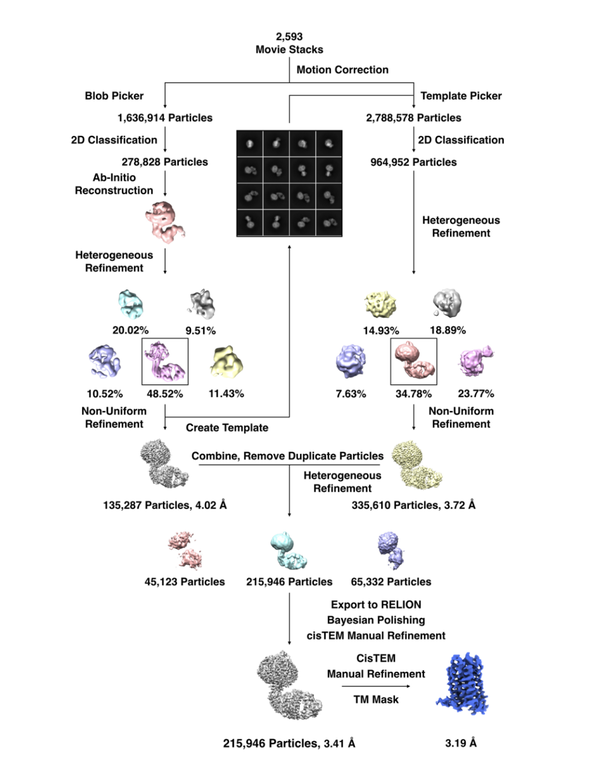 水木视界iss. 25 | 基于冷冻电镜的GPCR研究：融合蛋白策略 - 知乎