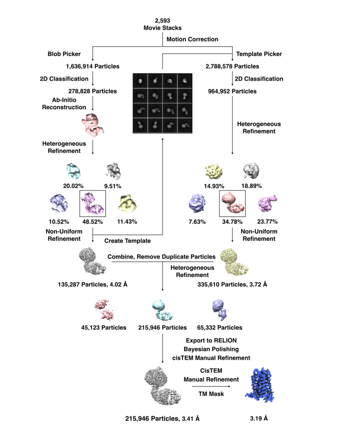 水木视界iss. 25 | 基于冷冻电镜的GPCR研究：融合蛋白策略 - 知乎