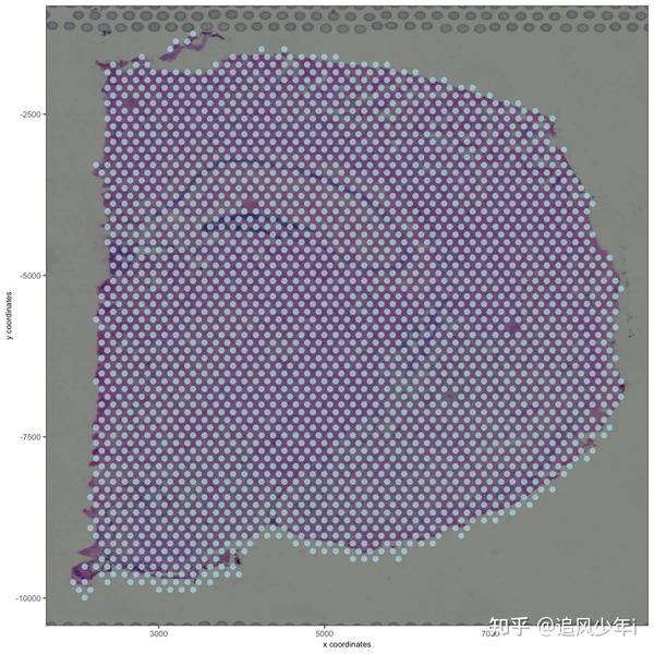 10X空间转录组分析回顾之Giotto - 知乎
