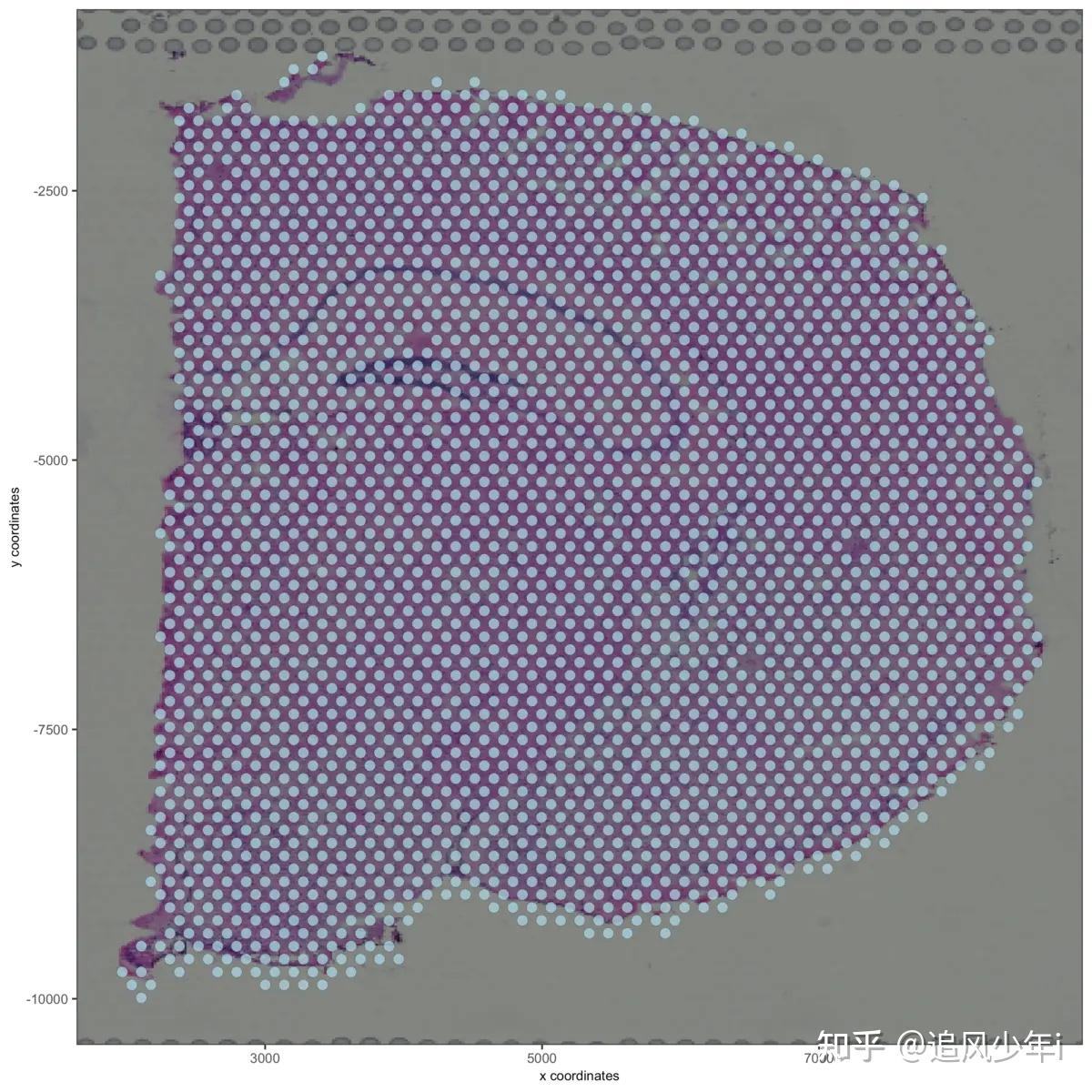 10X空间转录组分析回顾之Giotto - 知乎