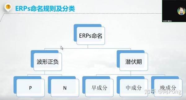 脑电学习 - 知乎