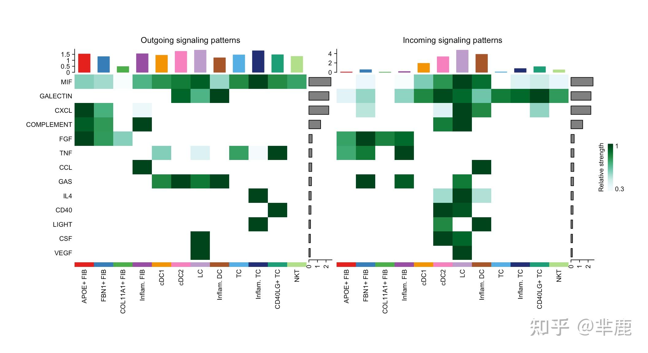 CellChat细胞通讯分析（中）--实操代码（单个样本） - 知乎