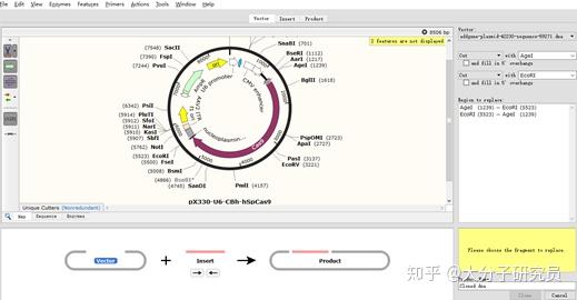带你玩转生物学软件之SnapGene - 知乎