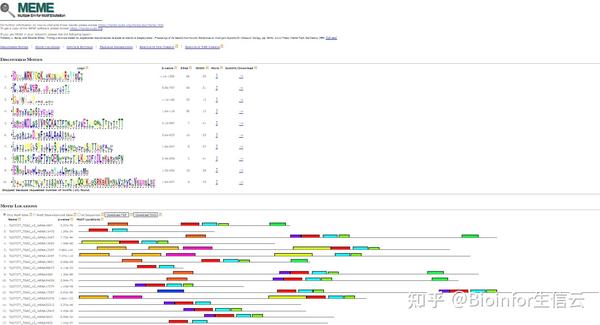 基因家族分析（4）motif 预测 - 知乎