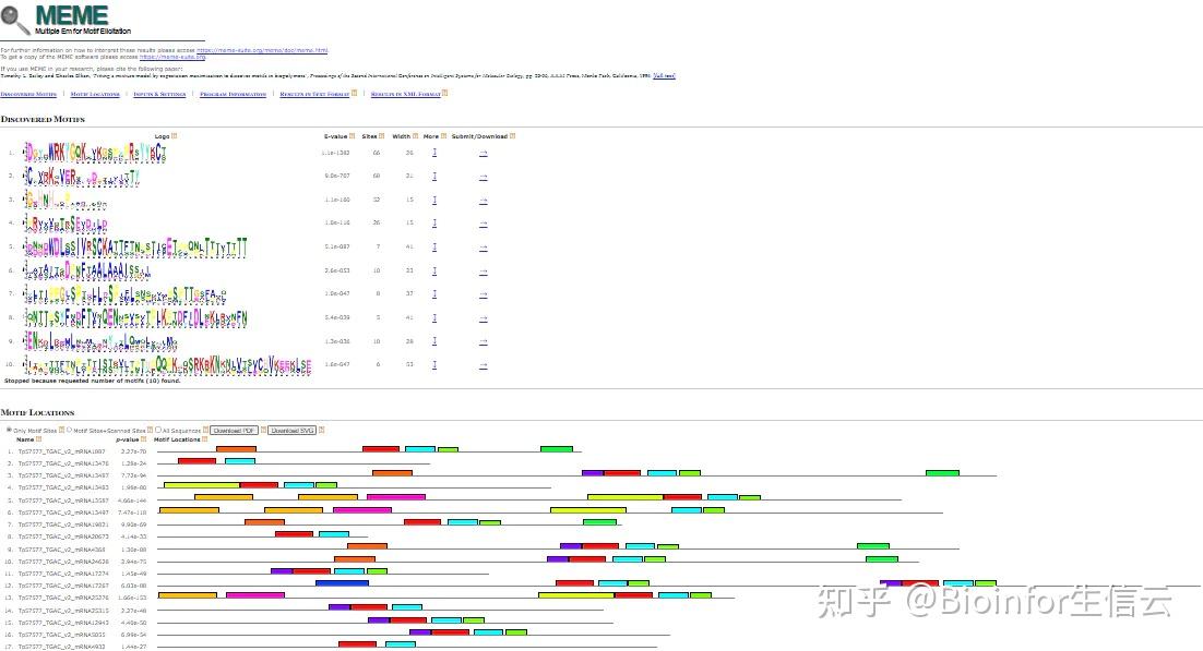 基因家族分析（4）motif 预测 - 知乎
