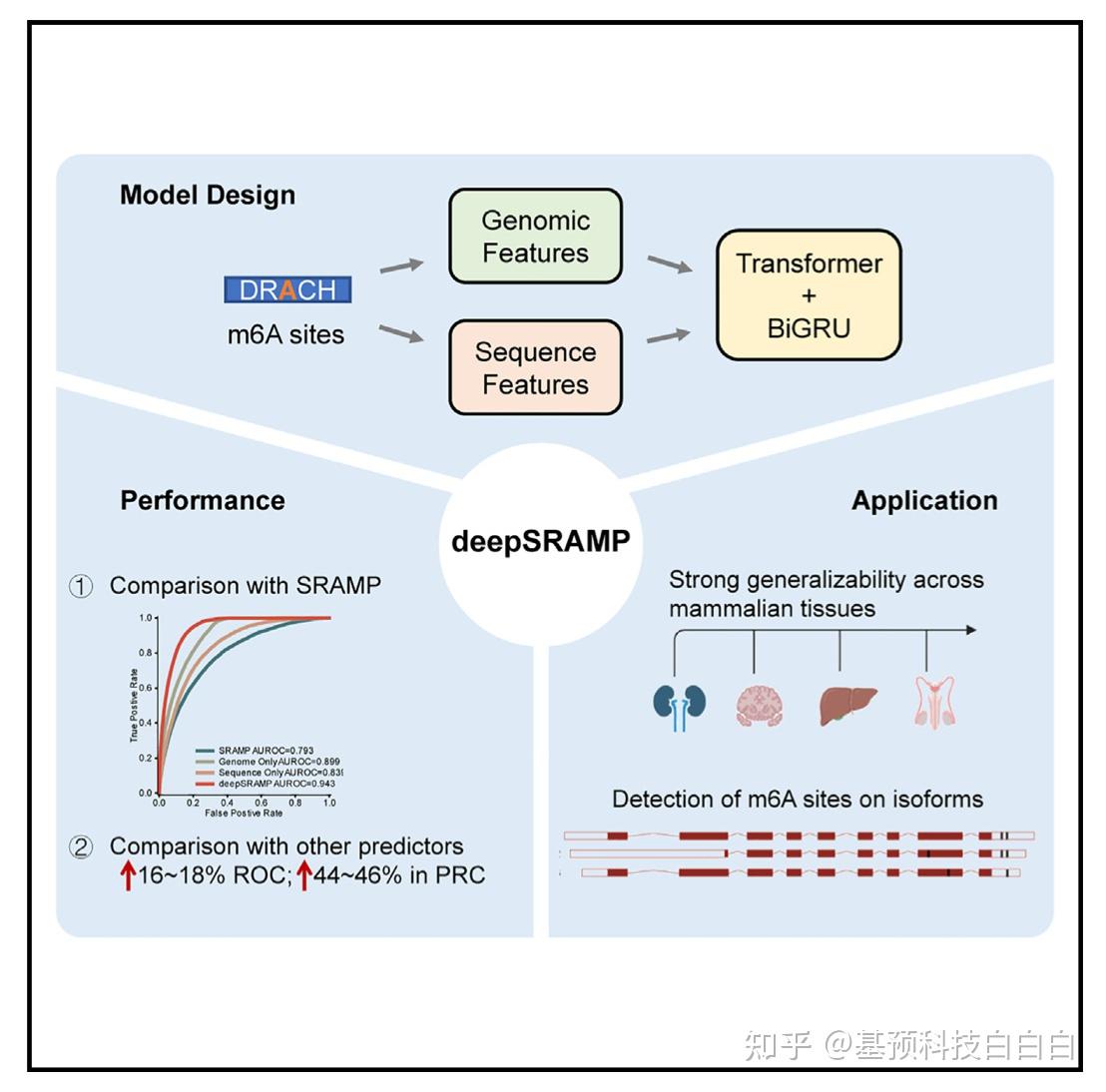 Transformer-BiGRU：用于哺乳动物m6A位点预测的组合深度学习框架 - 知乎