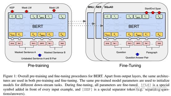 基于Transformer的双向编码器表示(BERT)——结构和训练 - 知乎