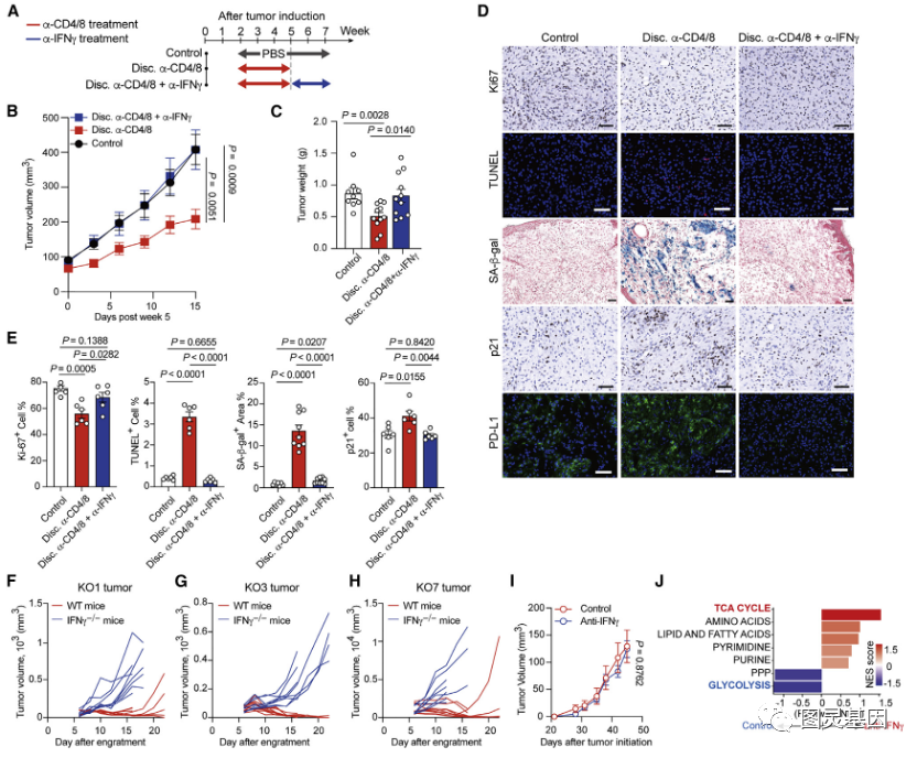 Cell Meta｜T细胞介导的免疫监视引起代谢重编程和免疫逃逸 - 知乎