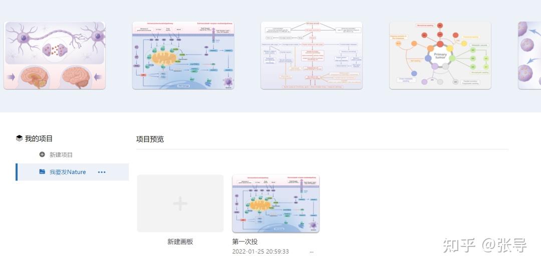 如何实现科研绘图自由？Figdraw这款绘图神器你一定要get！ - 知乎