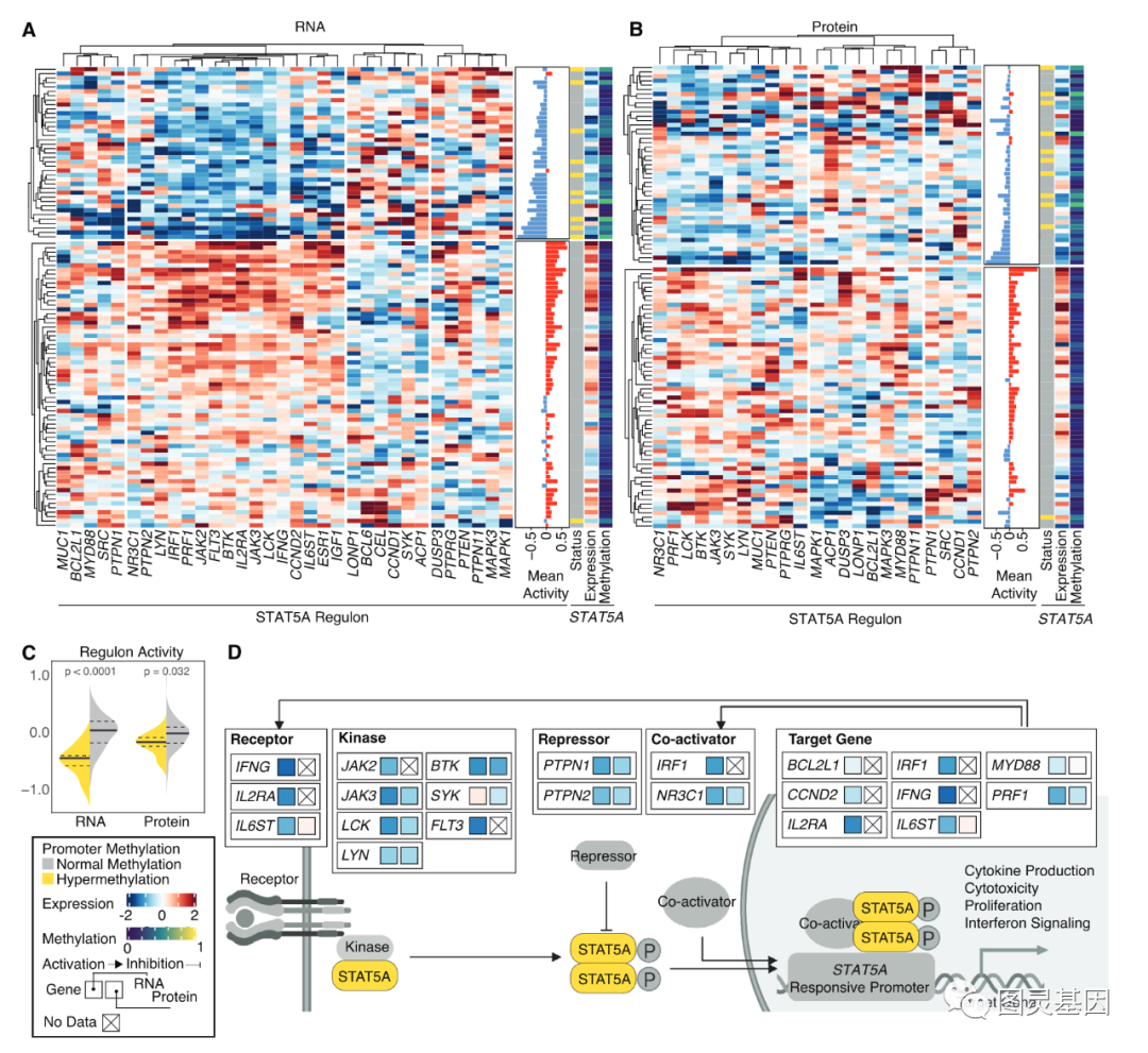 Can Cell | 丁莉教授团队多组学癌症图谱揭示治疗敏感性和细胞来源相关的DNA甲基化模式 - 知乎
