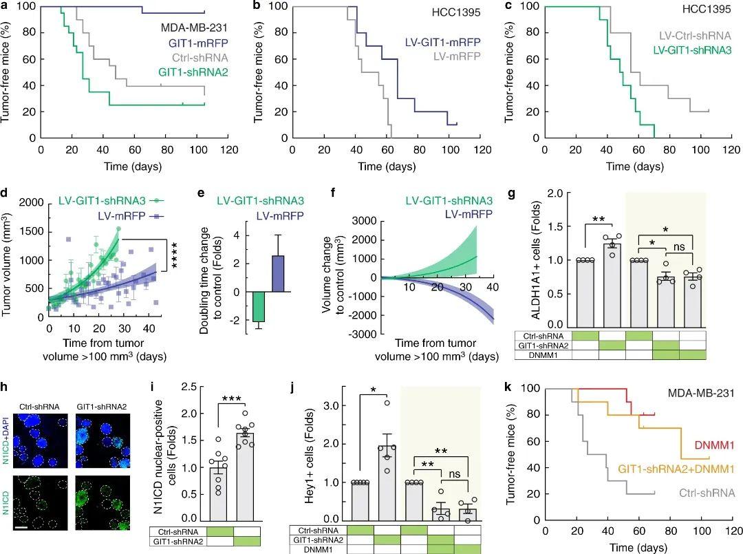 Nat Commun︱卡罗林斯卡医学院发现GIT1抑制乳腺癌生长并可评估患者预后风险 - 知乎