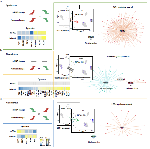 Nat. Mach. Intel. | 基于图神经网络在单细胞ATAC-seq数据上推测转录因子调控网络 - 知乎