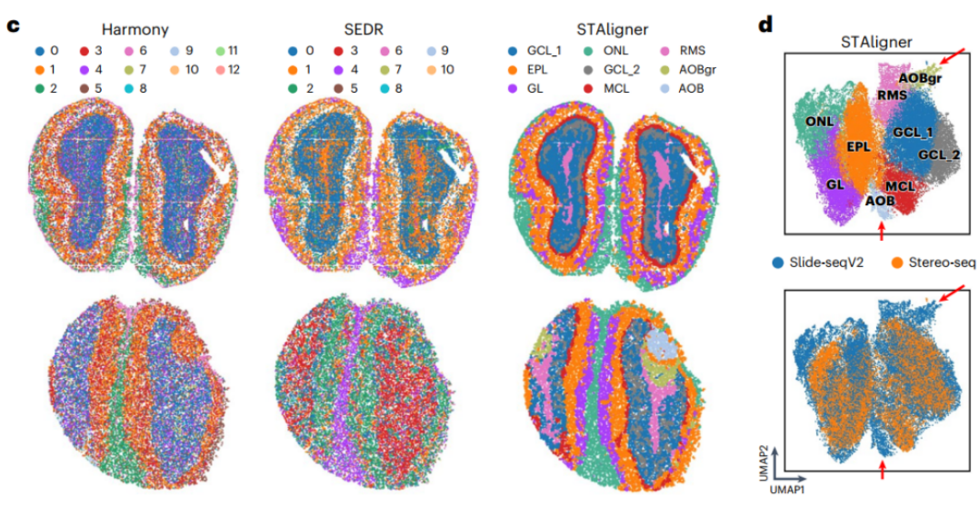 Nat Comput Sci｜张世华课题组开发生物组织多切片空间转录组数据整合新工具-STAligner - 知乎