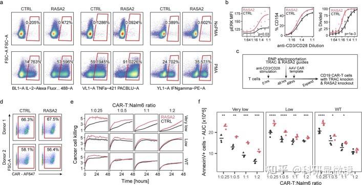 nature前沿为2023年国自然提供研究思路：CAR - T细胞治疗新靶点RASA2带来了可持久击杀肿瘤的T细胞 - 知乎