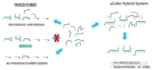 新品上线 | 基于 μCaler Hybrid System 的 MRD 解决方案 - 知乎