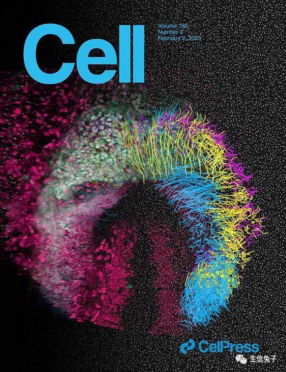 Cell 期刊入口连接，以及其全部子刊 - 知乎
