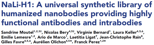细胞内VHH - 知乎