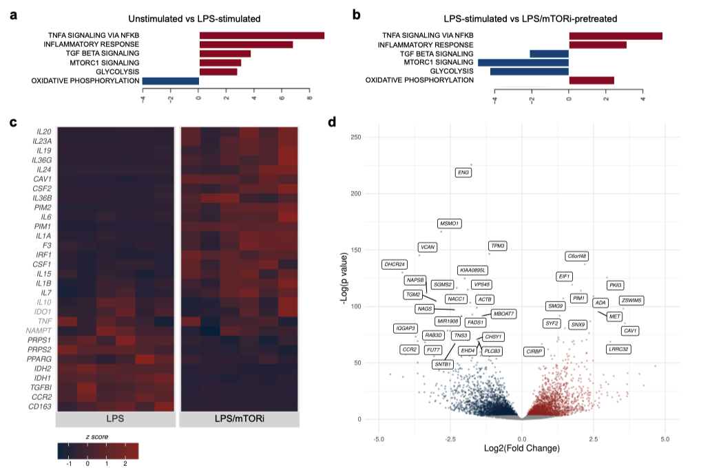Nature新子刊丨mTOR对代谢的调节限制了LPS诱导的单核细胞炎症和促凝血反应 - 知乎