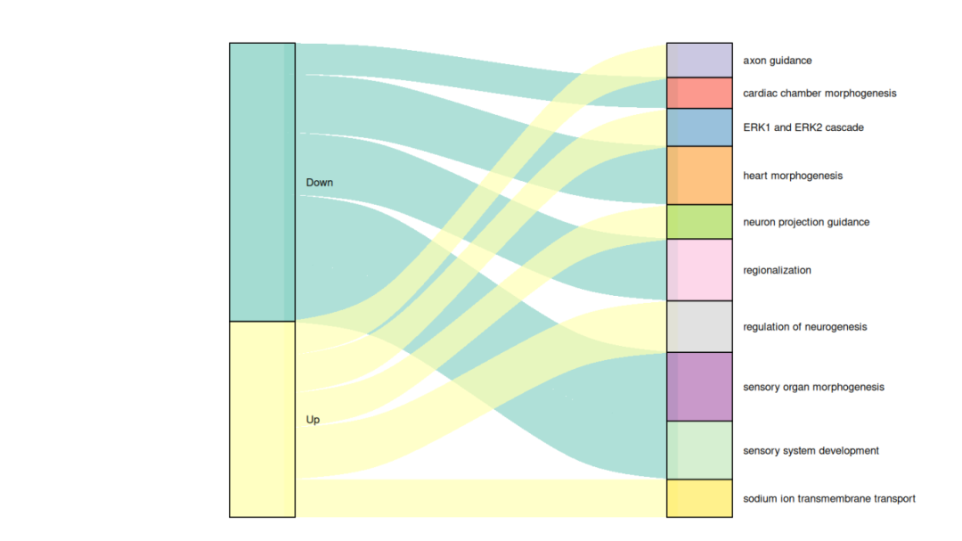R 语言绘制桑基图 | ggalluvial - 知乎
