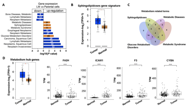 STTT︱刘芝华/吴楠团队揭示脂质代谢在癌症转移过程中的重要机制 - 知乎