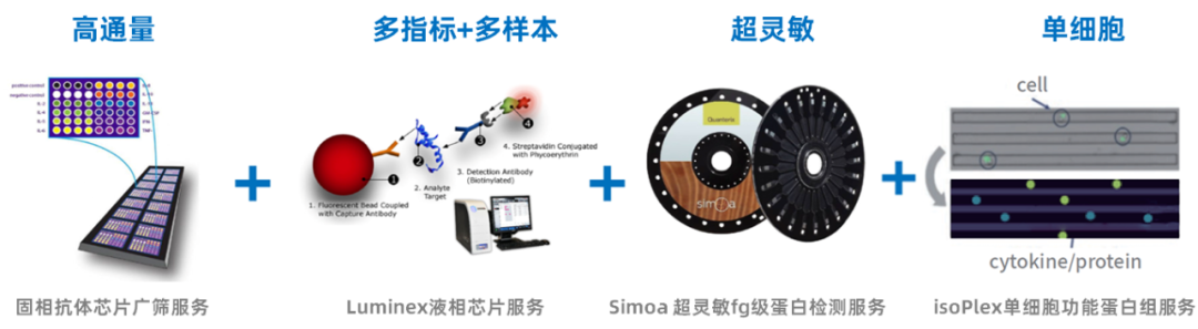 Nat Commun:ube2m Rbx1拟素化 泛素化轴维持调节性t细胞的功能特性 知乎
