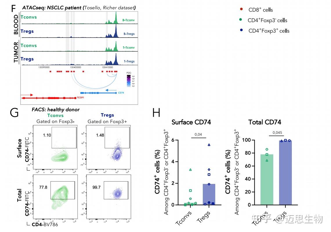文献分享：CD74支持肿瘤中调节性T细胞的积累和功能 - 知乎