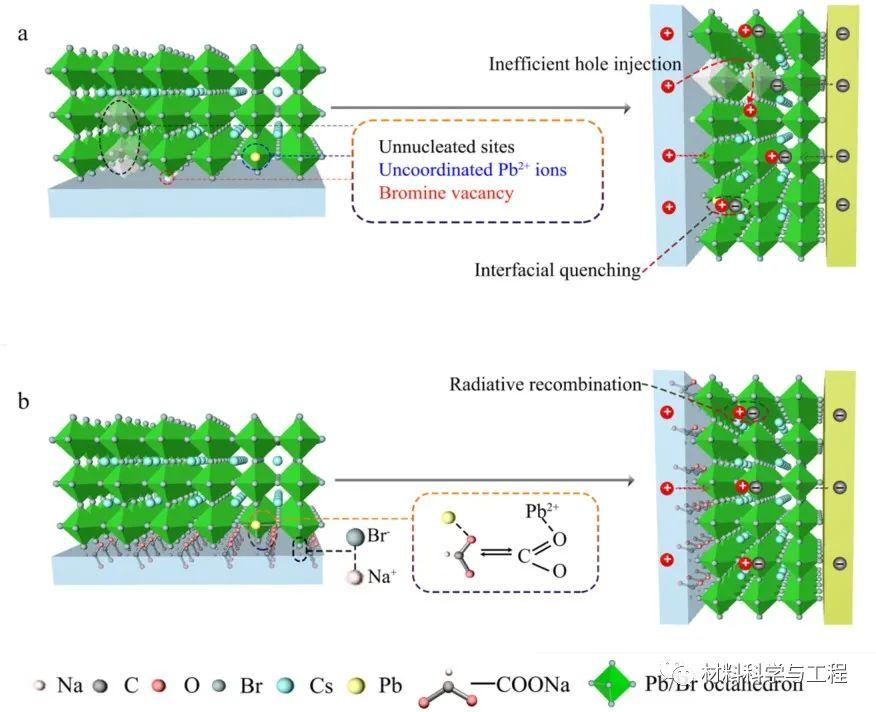吉大《CEJ》：界面离子固定化，实现高效率钙钛矿发光二极管！ - 知乎