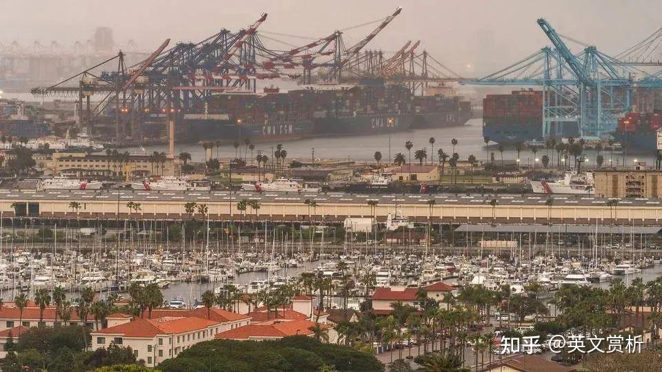 52 Hertz Whale | 世界上最深的孤独 - 知乎