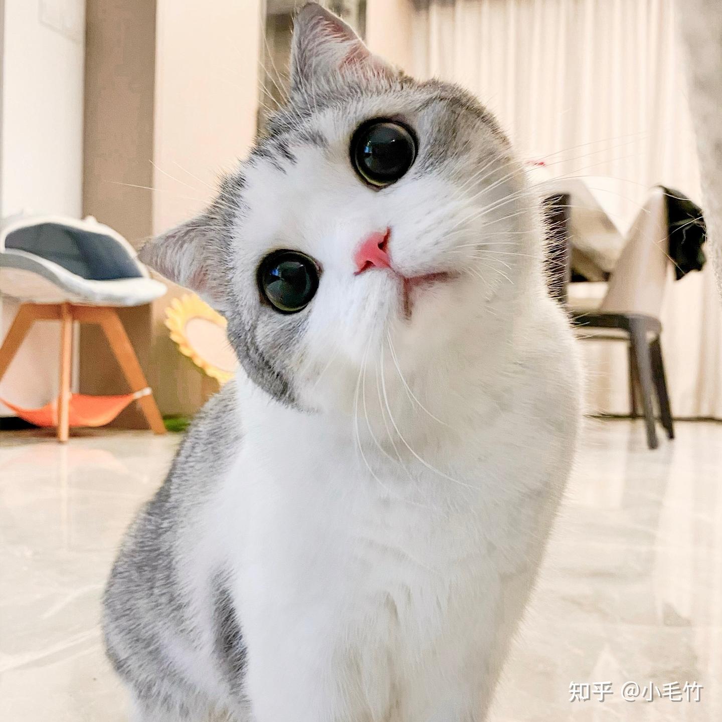 SEER数据库 | SEER plus申请完整流程 (2021版) - 知乎