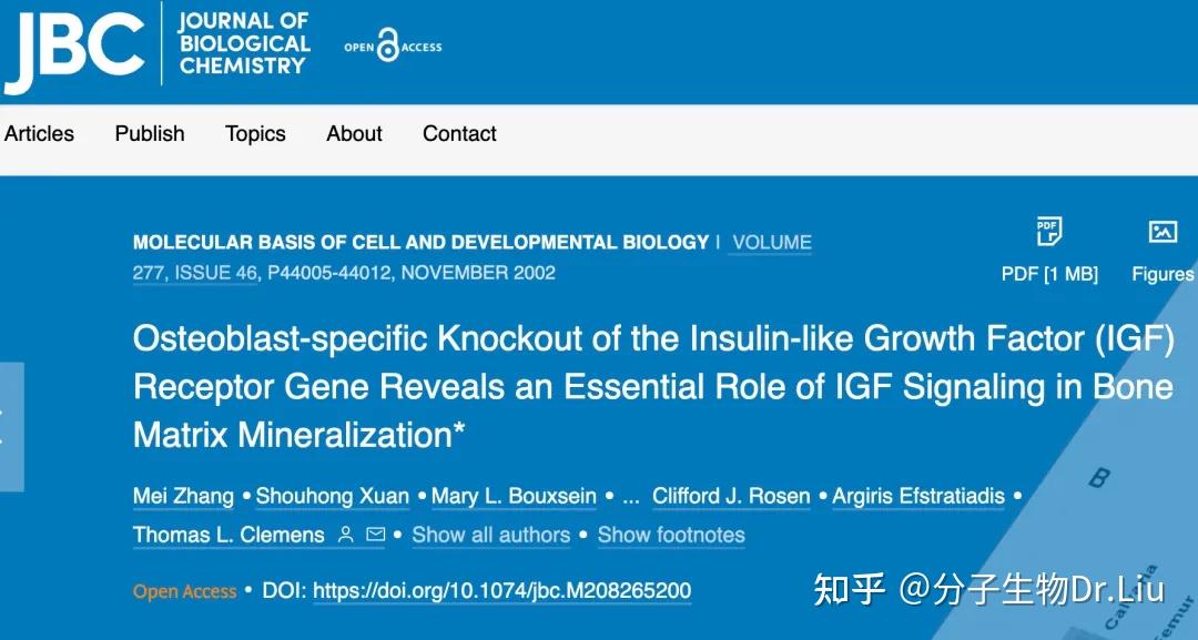 为什么孩子IGF-1水平正常，还是长得慢？SCI顶刊给出答案 - 知乎