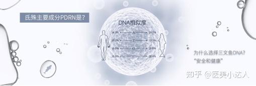 PDRN是什么？有什么作用及效果？ - 知乎