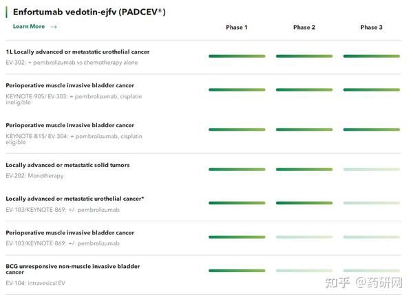 靶点梳理 | 肿瘤标志物之Nectin-4 - 知乎