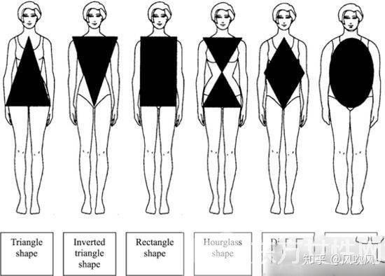 什么样的身材比例才算完美呢？ - 知乎